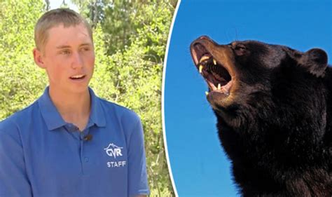 Teenager Dylan Mcwilliams Escapes Death Of Bear After Waking Up In His Jaw World News