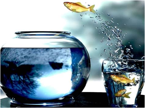 Статьи Инны Литовченко ВКонтакте