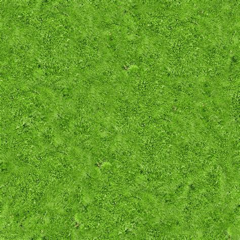 Green Grass Field Vegetation Lawn Grassland Green Carpet Texture