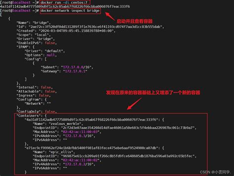 Docker之网络配置docker网络配置 Csdn博客