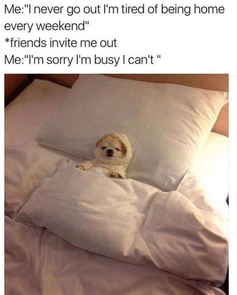 Go To Bed Meme Artofit