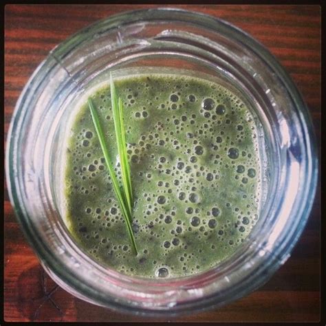 Wheat Grass Smoothie Recipe