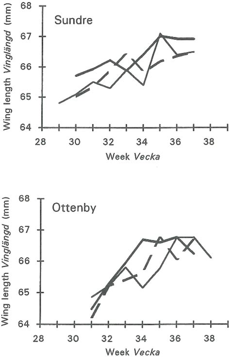 Figure 2 From The Autumn Migration Of Willow Warblers Phylloscopus