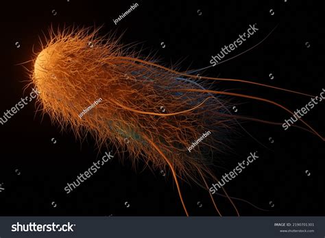 Flagellated Bacteria Microbe 3d Rendering Medical Stock Illustration