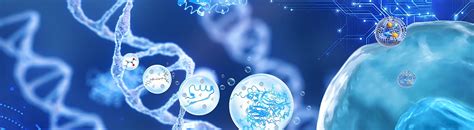 杰出青年 生物药制备与递送全国重点实验室