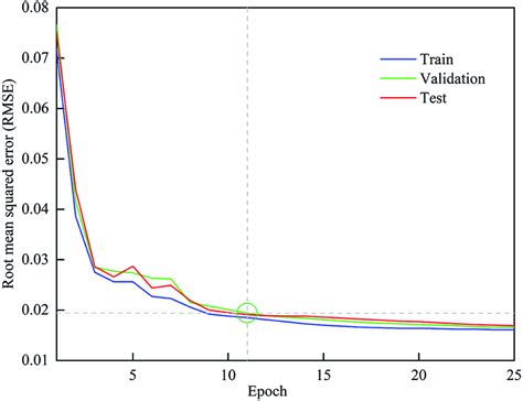 Training Validation And Test Root Mean Squared Error Rmse Download Scientific Diagram