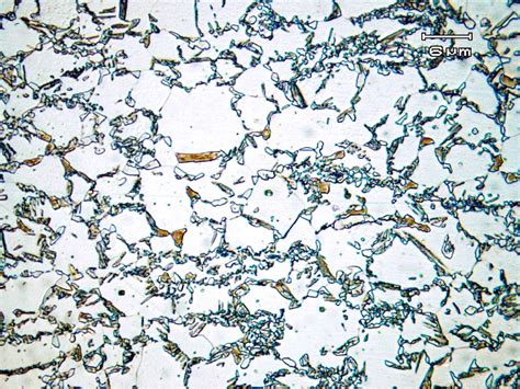 Micrograph 739 And Full Record