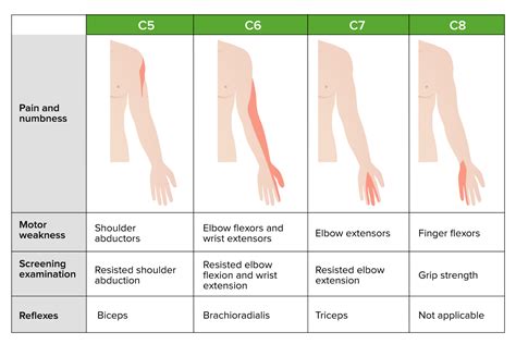 Dor Cervical Concise Medical Knowledge