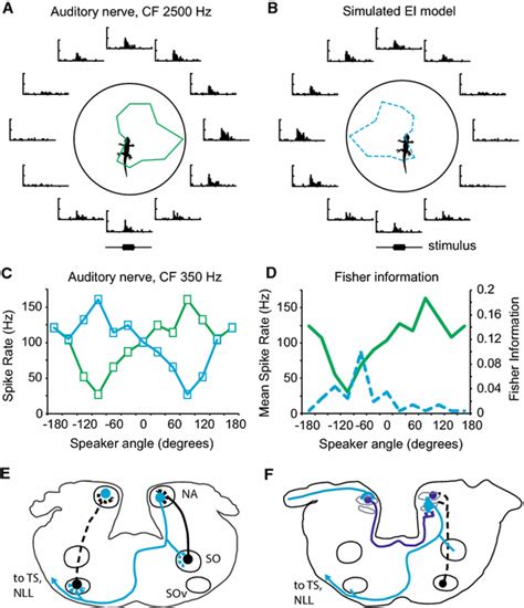 Binaural Comparisons In Free Field Responses From Lizard Auditory