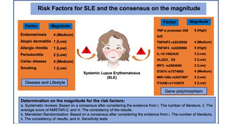 Risk Factors For Sle And The Consensus On The Magnitude Abbreviations