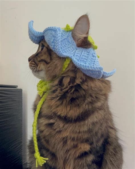Best 13 33 Free Crochet Cat Hat Patterns Artofit
