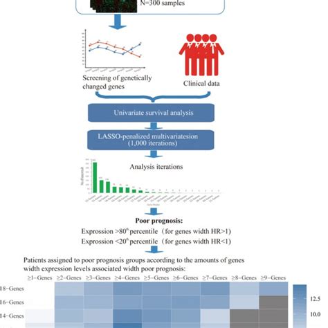 Flow Chart Of The Gene Model Construction Download Scientific Diagram