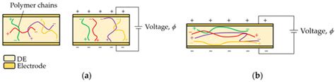 Actuators Special Issue Modelling And Motion Control Of Soft Robots