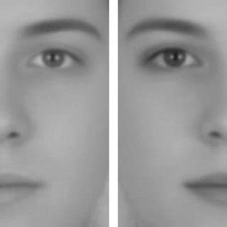 Variant Of The Illusion Of Sex The Face On The Left Appears Male