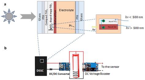 A Architecture Of Our Dssc B Diagram Showing The Location Of The Dssc