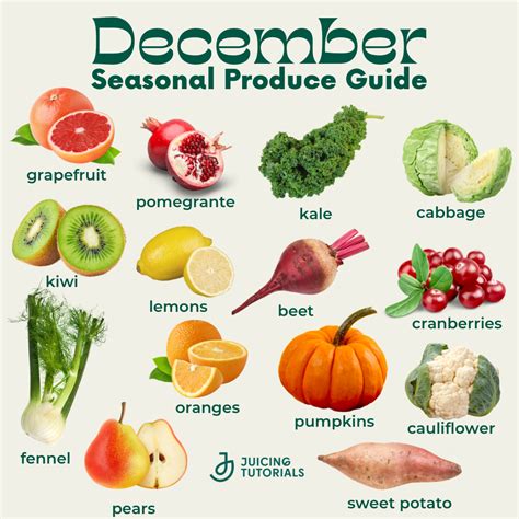 Best 12 33 Winter Fruits Different Types Of Fruits You Can Find In The