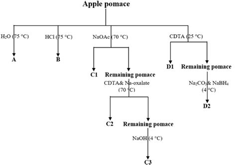 Schematic Representation Of The Extraction Process With Various Methods