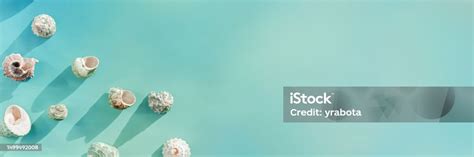 최소한의 여름 배너 햇빛에 조개껍데기가 있는 추상적인 배경 미적 흑백 정물화 청록색 여름 휴가 개념 그림자가 있는 탑 뷰 자연 조개 복사 공간 바다에 대한 스톡 사진 및