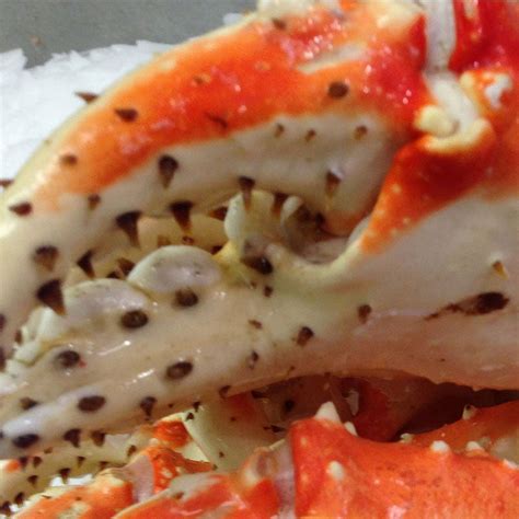 Biggest King Crab