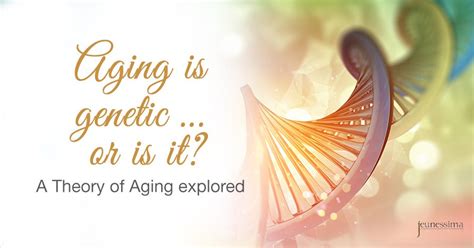 Aging Is Genetic Or Is It A Theory Of Aging Explored Jeunessima