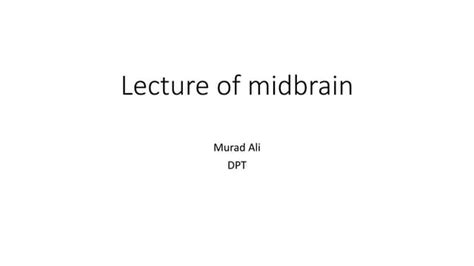 Lecture Of Midbrain Pptx