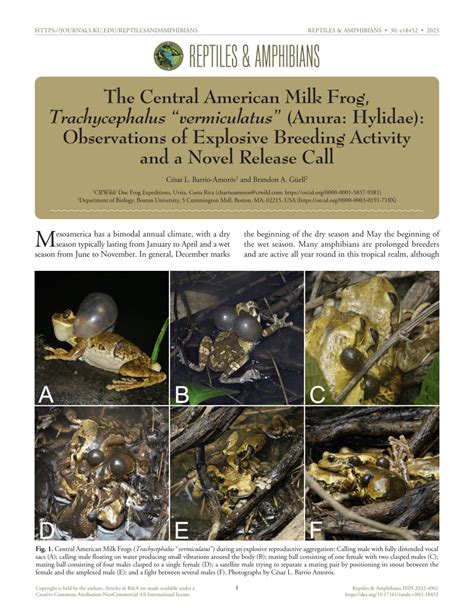 Pdf The Central American Milk Frog Trachycephalus Vermiculatus
