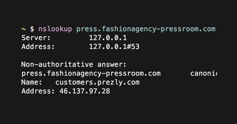 DNS Settings Help Section