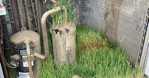 How To Maintain Your Leed Green Certification Album On Imgur