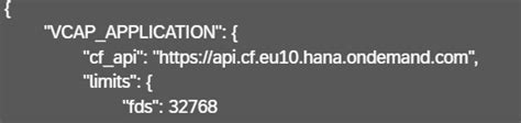 Hybrid Testing In Cap Using Environment Variables Sapdeveu