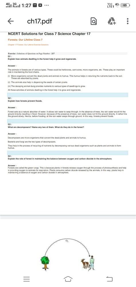 Forest Science Assignment Teachmint