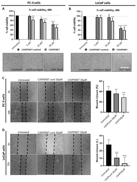Pharmaceutics An Open Access Journal From Mdpi