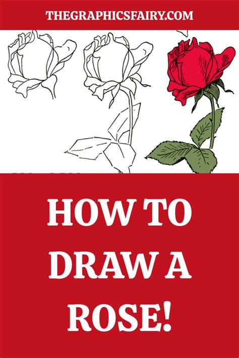 How To Draw A Rose Easy Steps