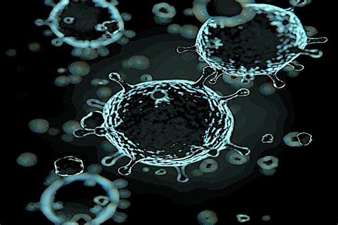 Antidepressants And Serotonin Impact Gut Microbiota Microbiology