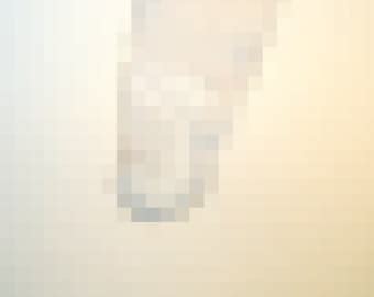 Erect Penis Etsy Uk