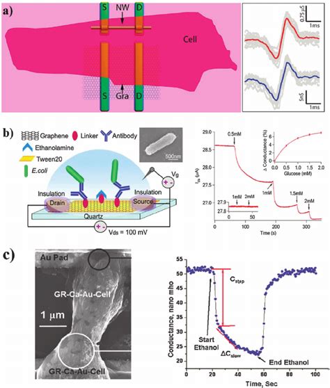 Electronic Graphene Sensors For Cellular Detection A Detection Of