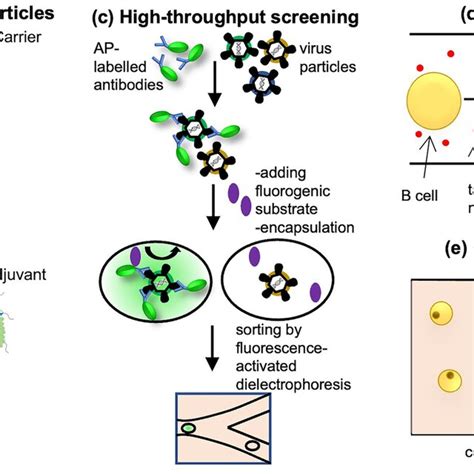 Microfluidics As An Enabling Technology For Drug Development And
