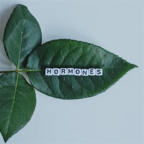 Regulate Your Hormones By Limiting Endocrine Disruptors — Ali Ali Healing