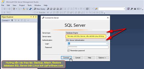 Cách Attach Restore Database Vào Sql Server Trên Linux 2020