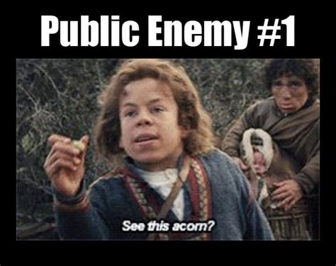 Team Acorn Album On Imgur