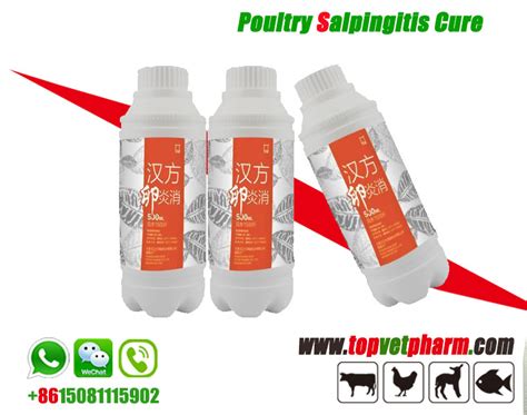Poultry Salpingitis Treatment