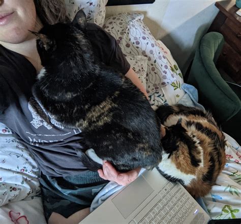 can you guess which one needs the most attention hint i have to