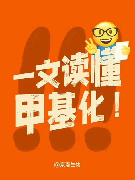 一文读懂甲基化 知乎