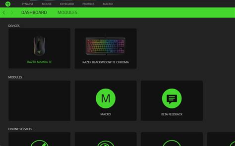 Razer Synapse 3 Chroma Issue Razer