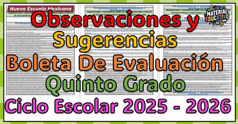 Observaciones Y Sugerencias Sobre Los Aprendizajes Para La Boleta De