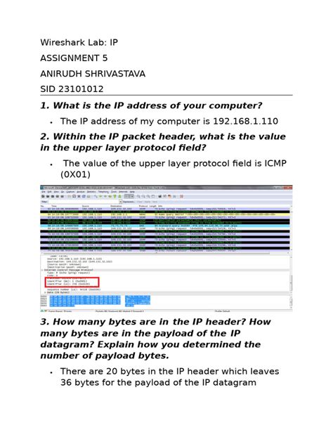 Wireshark Lab 5 Ip Assignment 23101012 Pdf Internet Protocols Network Layer Protocols
