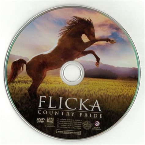 Flicka 3