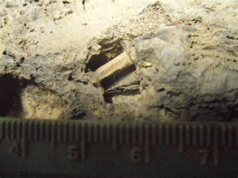 Square Lattice Structure In Sedimentary Rock Fossil Id The Fossil Forum