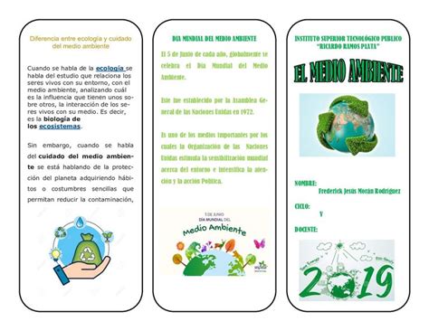 Triptico Del Medio Ambiente Folletos Para Imprimir