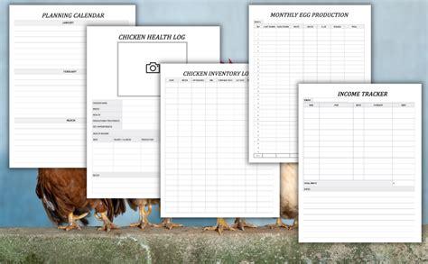 Chicken Keeping Record Book A Tracking Log Scheduler And Basic Ledger