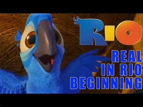 Rio The Movie Real In Rio Beginning Of Movie Movie Clip Youtube
